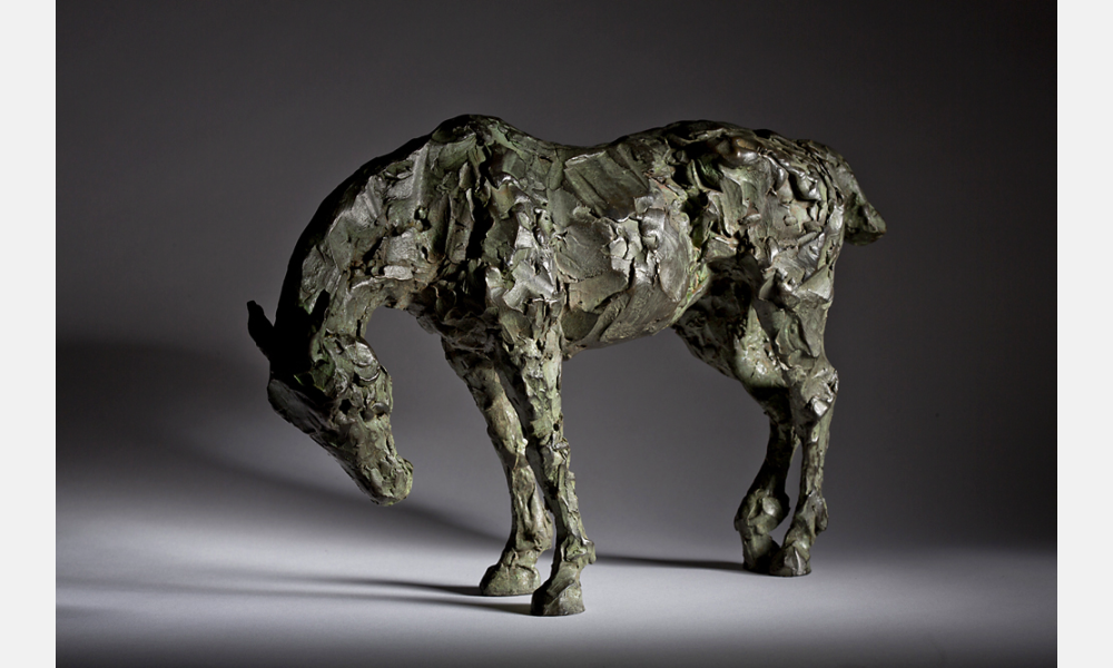 Jane Shaw - Artist Details · Dorset Visual Arts