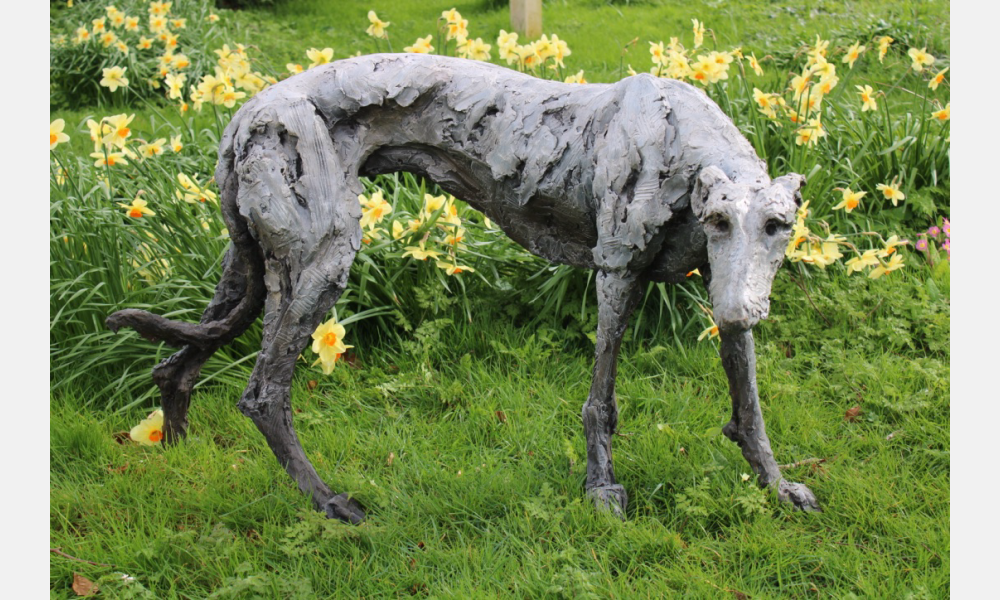 Jane Shaw - Artist Details · Dorset Visual Arts