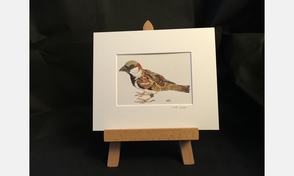 Jeanette Smith - Artist Details · Dorset Visual Arts