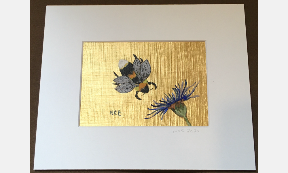 Jeanette Smith - Artist Details · Dorset Visual Arts