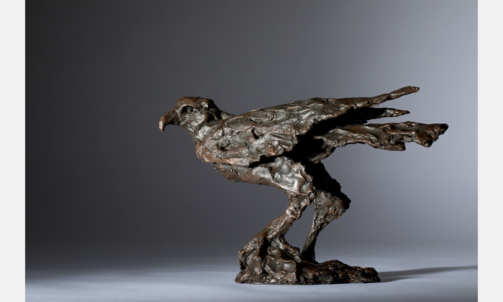 Jane Shaw - Artist Details · Dorset Visual Arts