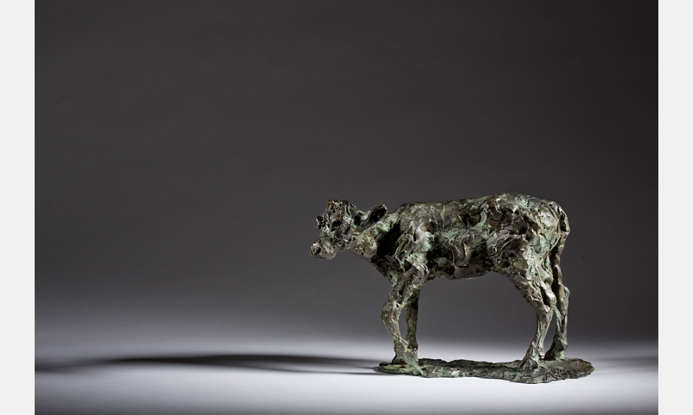 Jane Shaw - Artist Details · Dorset Visual Arts